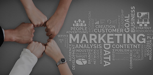 Home | dabboos-egypt